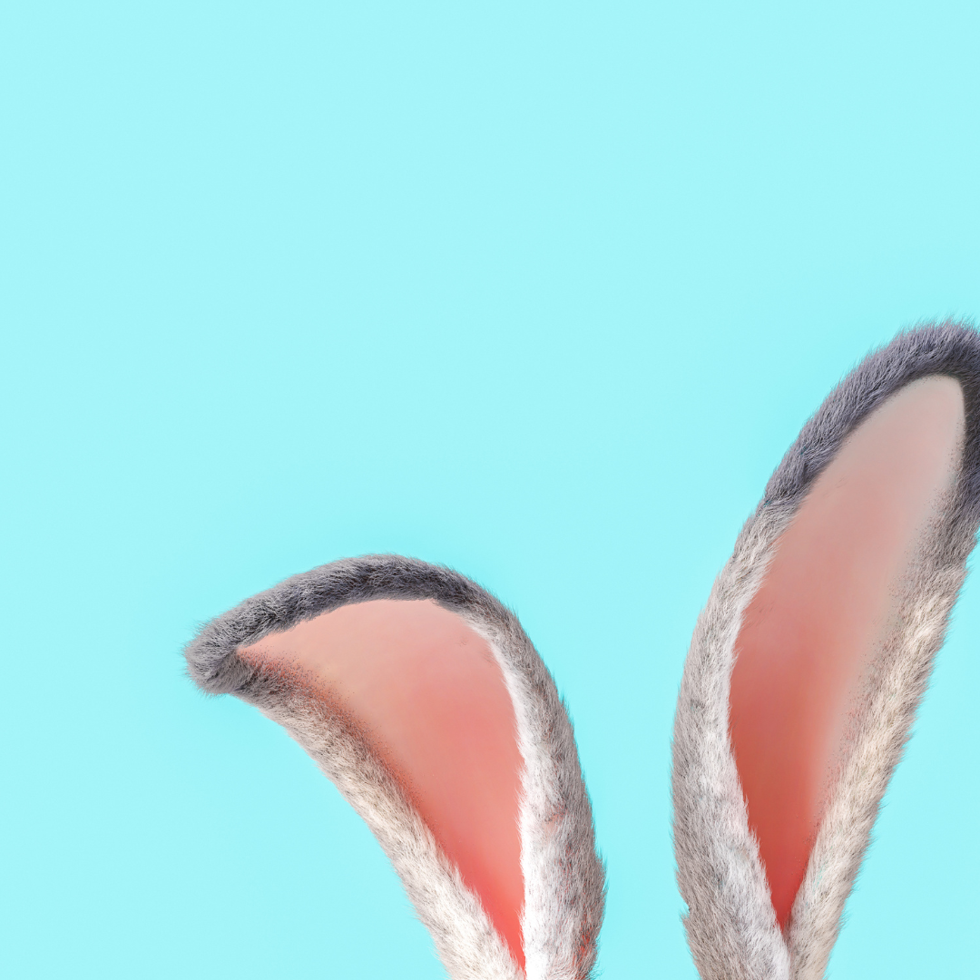 EASTER COMPETITION - Peard